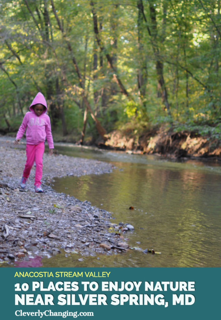 10 Places to Enjoy Nature Near Silver Spring, MD - Cleverly Changing