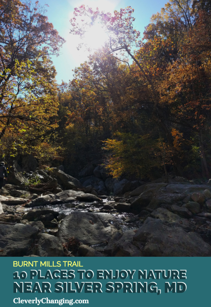 10 Places to Enjoy Nature Near Silver Spring, MD - Cleverly Changing