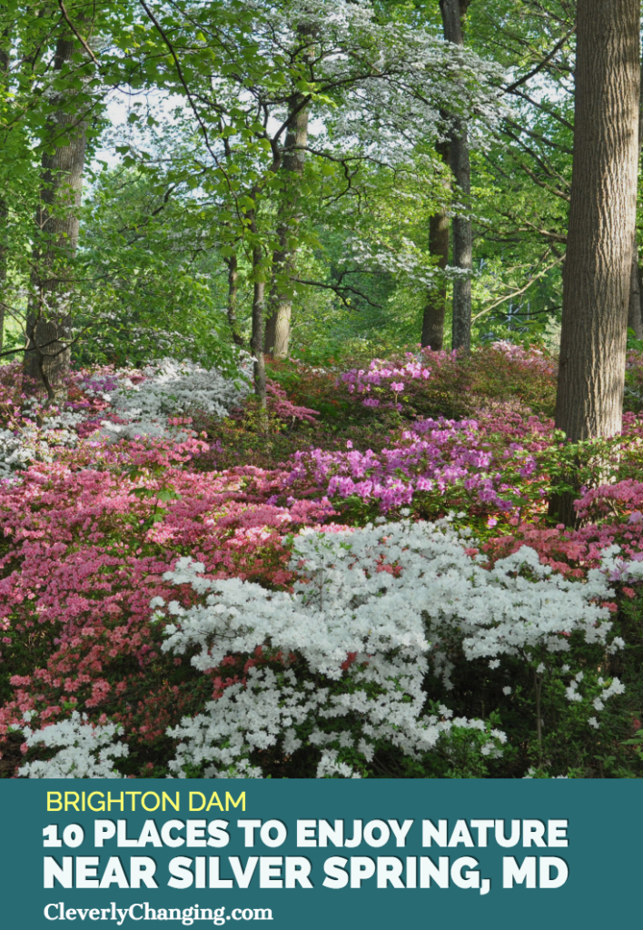 10 Places to Enjoy Nature Near Silver Spring, MD - Cleverly Changing
