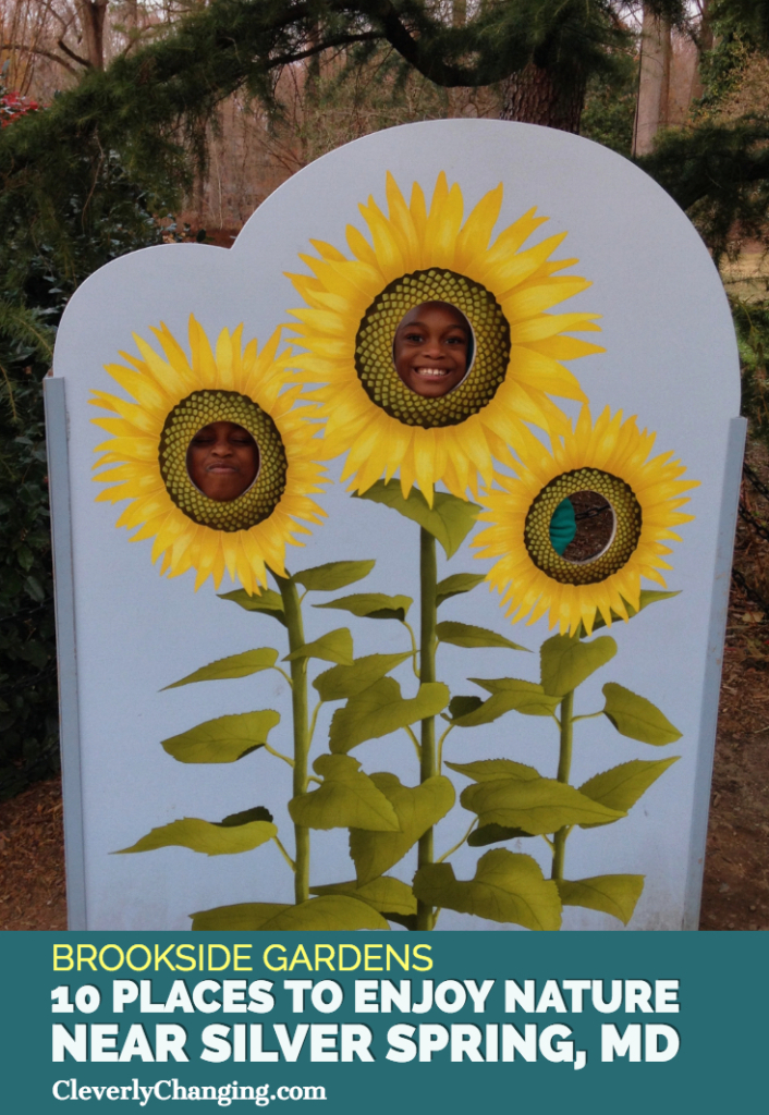 10 Places to Enjoy Nature Near Silver Spring, MD - Cleverly Changing