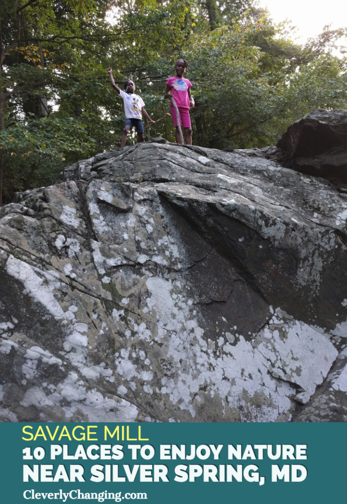 10 Places to Enjoy Nature Near Silver Spring, MD - Cleverly Changing