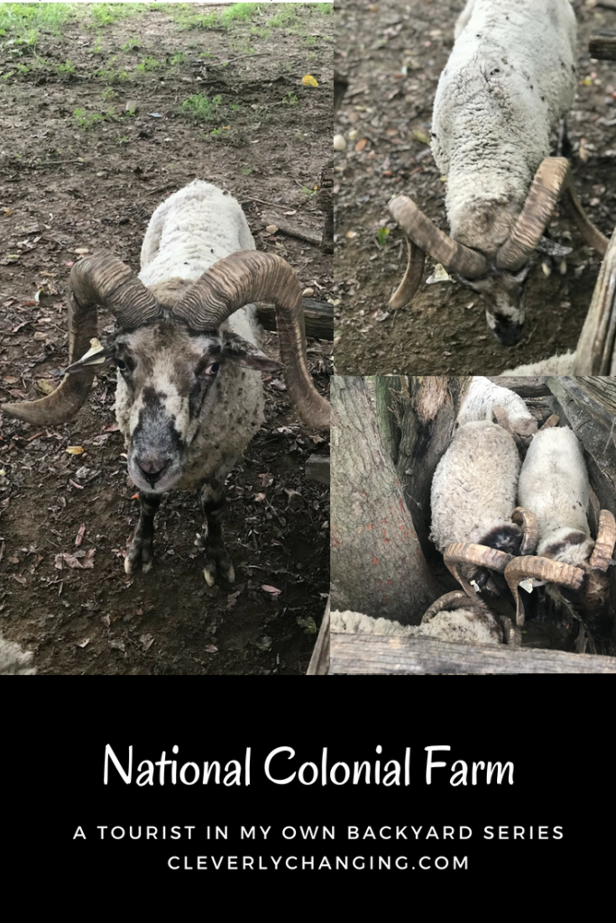 5 of the Most Unusual National Colonial Farm Facts - Cleverly Changing