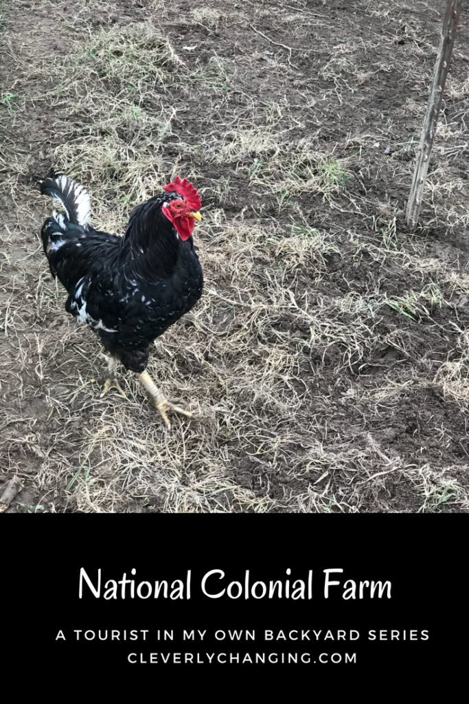 5 of the Most Unusual National Colonial Farm Facts - Cleverly Changing