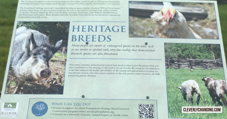 5 of the Most Unusual National Colonial Farm Facts - Cleverly Changing